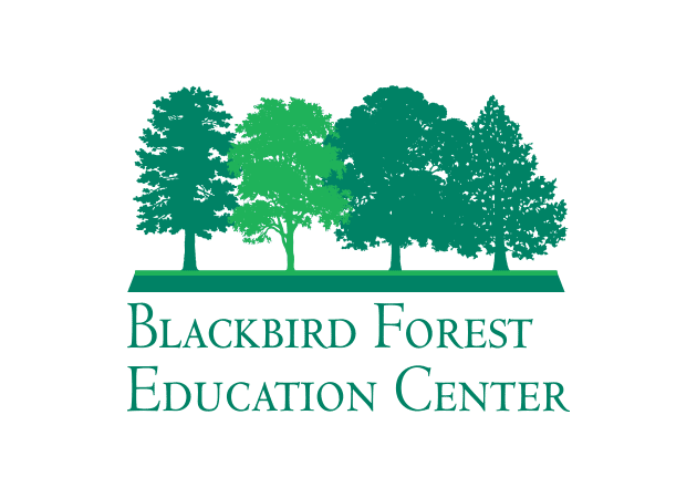 blackbird-forest-educational-center-logo - BlasseyDesign